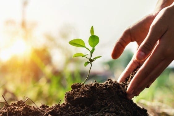 What Is an Ethical Will and How To Write One
