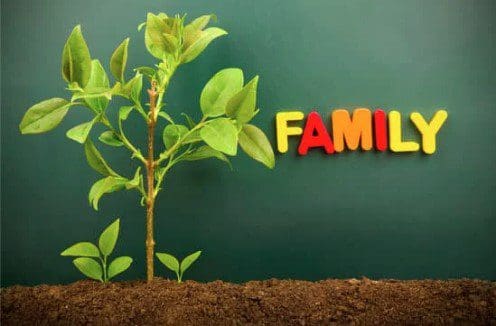 What Does Per Stirpes Mean To a Beneficiary?